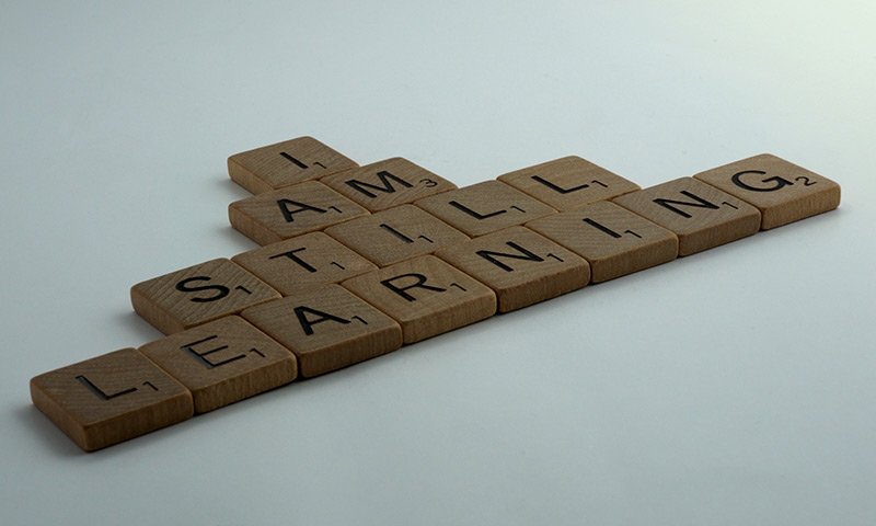 LL.M/M.Phil in Multilevel Government and Local Government — Multilevel Govt